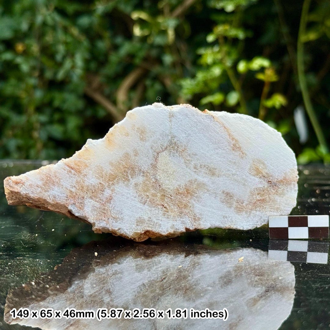 Cut & Sliced Snow Gypsum Crystal | Aust Cliff, Bristol | Triassic ...