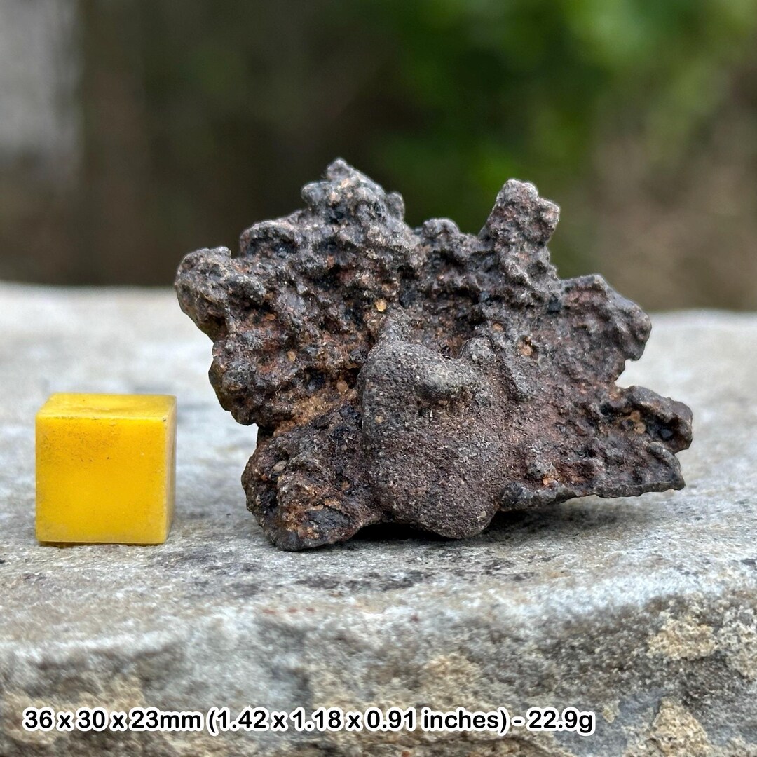 H5 Common Chondrite High Iron Meteorite Space Rock - Etsy