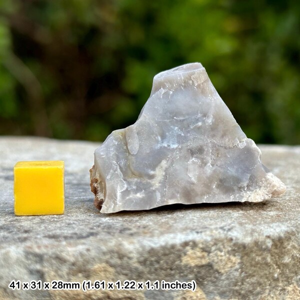 Coprolite - Etsy