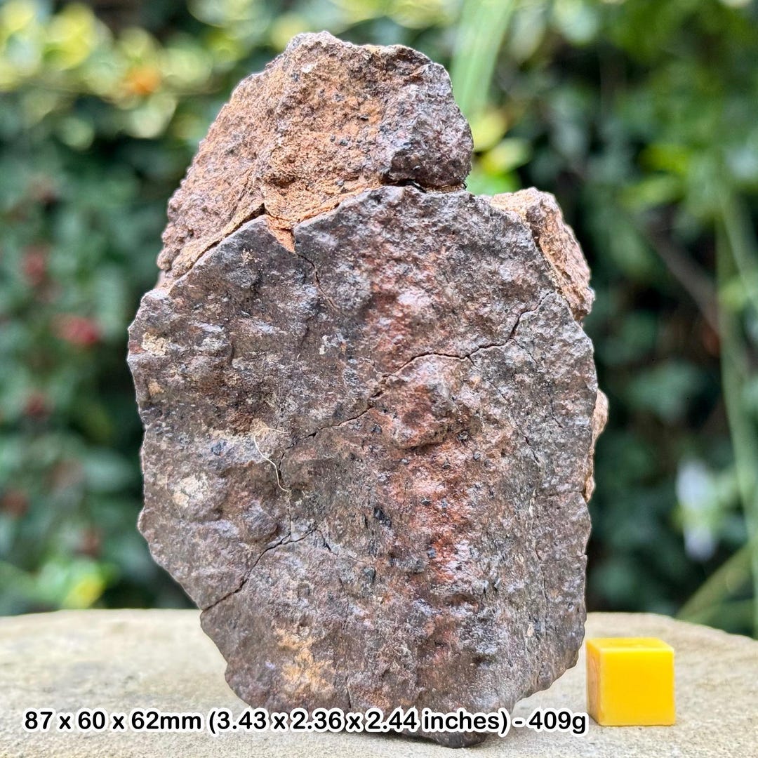 409g Genuine H5 Common Chondrite Meteorite From Northwest Africa ...