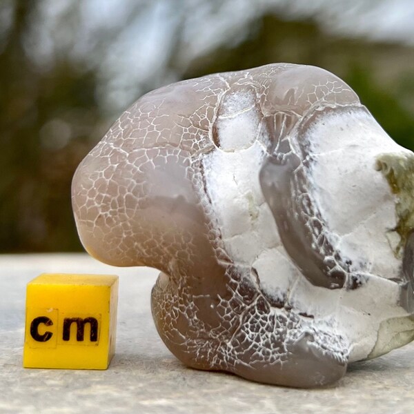 Snakeskin Agate - Etsy