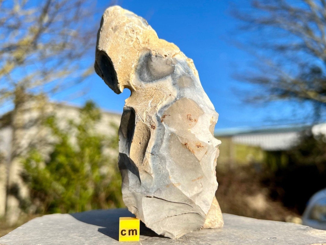 Authentic Neolithic Adze Tool a Piece of History for Your Collection - Etsy