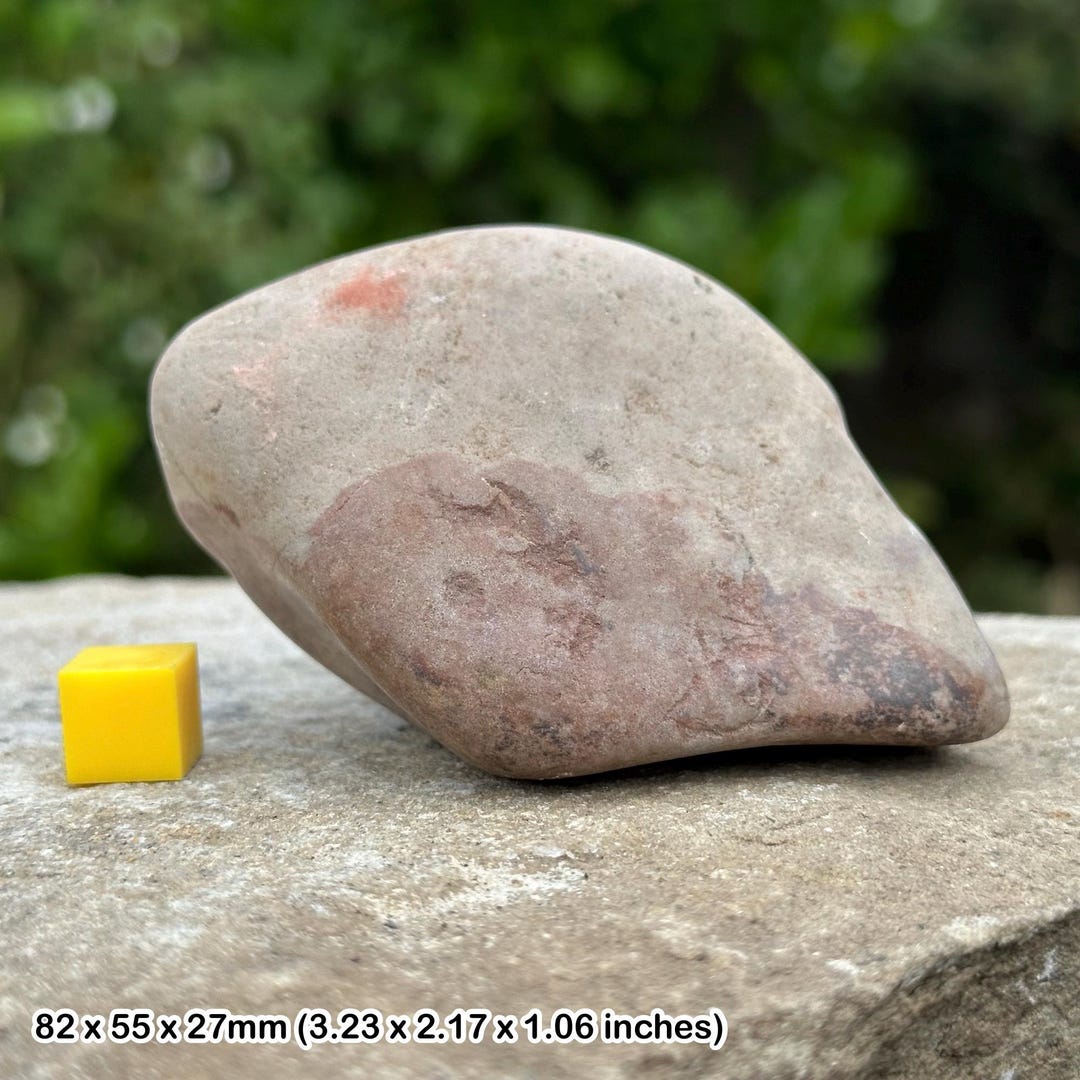 Jurassic Dinosaur Gastrolith Stomach Stone Fossil - Morrison Formation ...