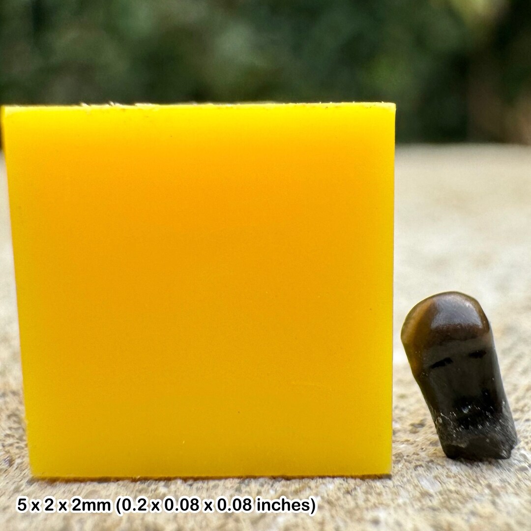 Rare Pycnodont Fish Tooth Fossil, Bathonian Jurassic, White Limestone ...