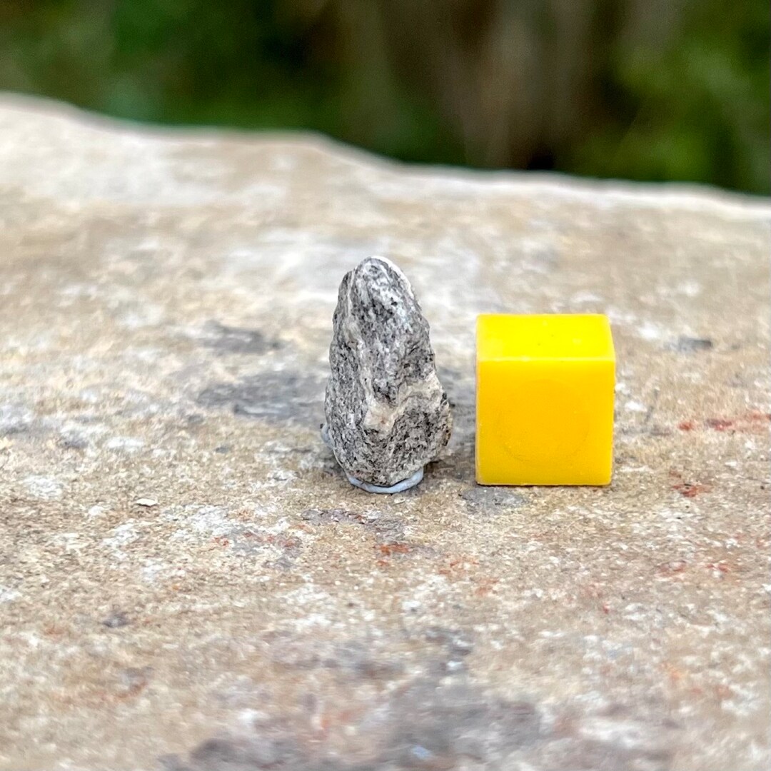 Acasta Gneiss Oldest Known Rock on Earth RP0345 - Etsy