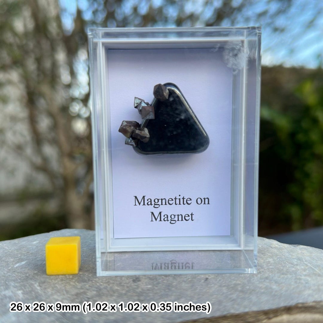 Magnetite on Magnet Mineral Specimen Australia Natural Iron Oxide ...