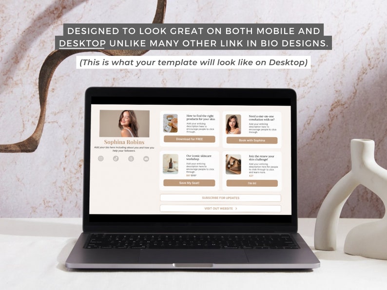 Systeme Io Template, Link in Bio, Stan Store, Stan Store Dupe, Stan ...