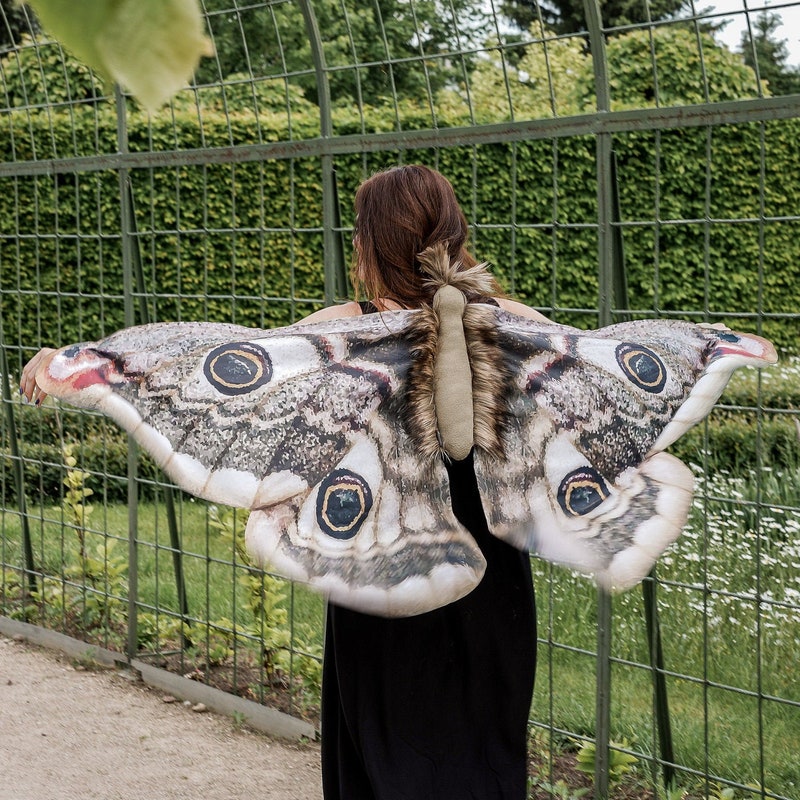 Moth Wing Cape - Etsy