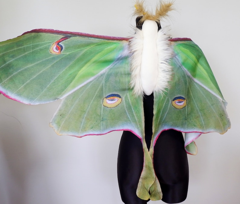 Adult Luna moth costume /Butterfly costume/ Luna moth wings / | Etsy
