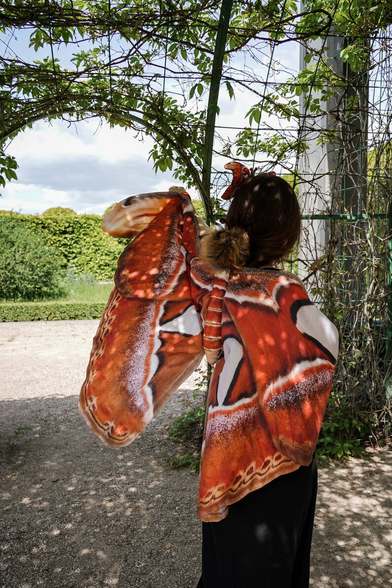 Atlas Moth Costume for Adults Butterfly Costume Adult | Etsy