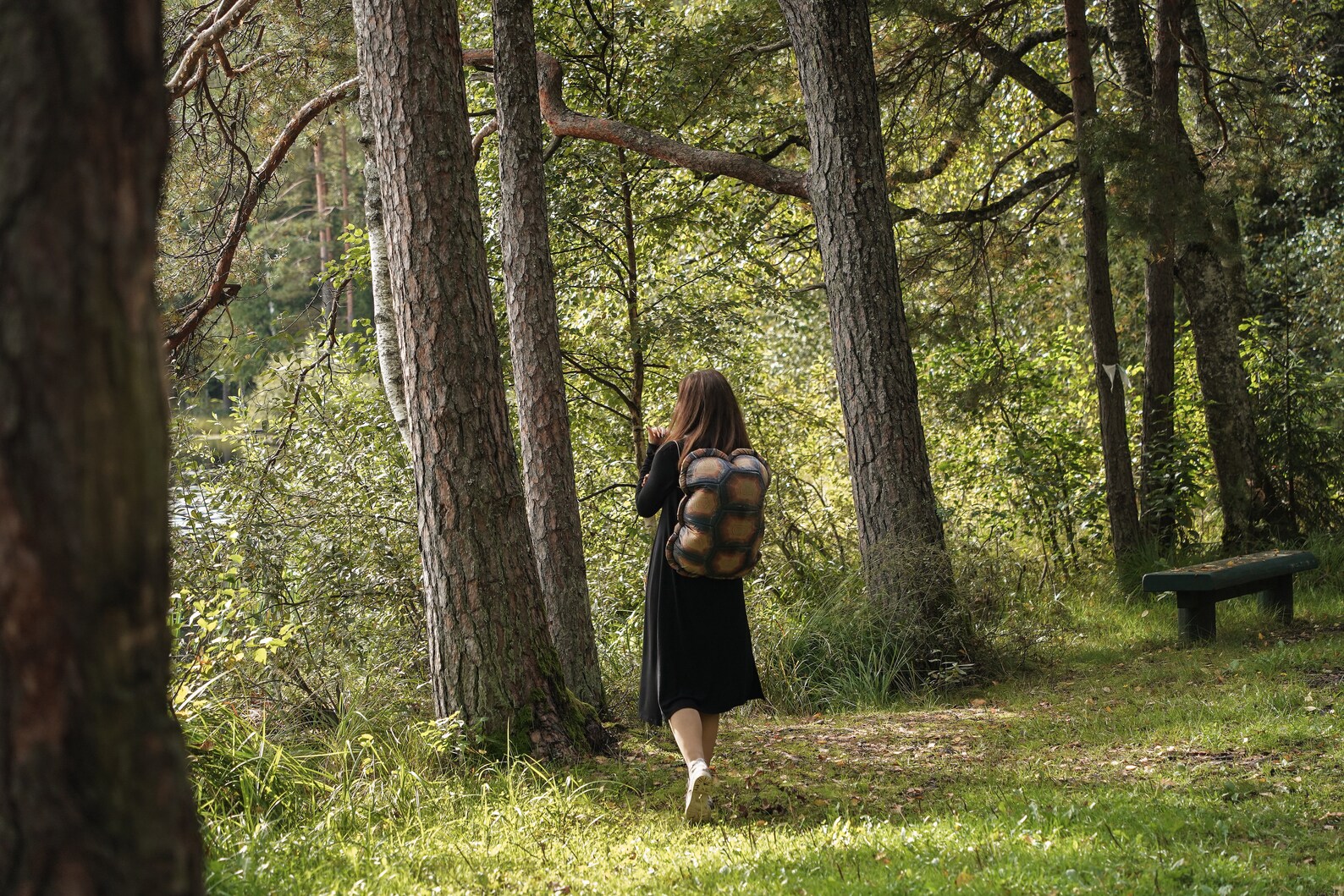 Turtle Costume for Adults Turtle Shell Reptile Costume - Etsy