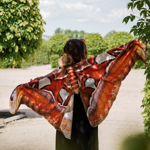 Cercopia Moth Costume for Adults Butterfly Costume - Etsy