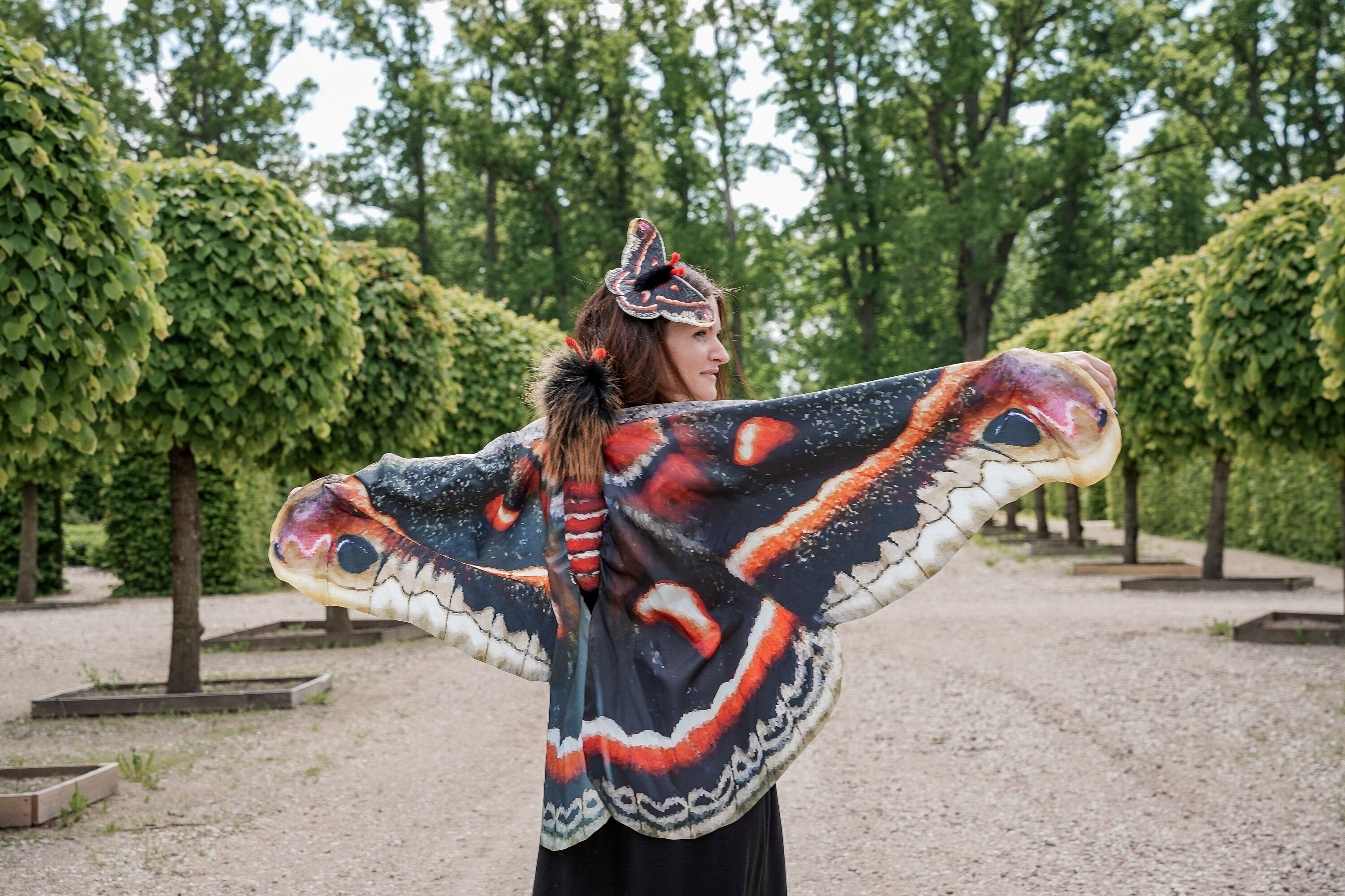 Cercopia Moth Costume for Adults Butterfly Costume | Etsy