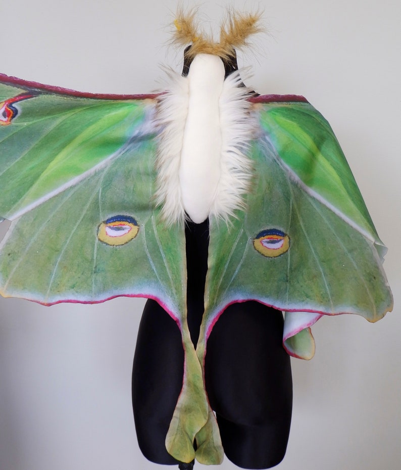 Adult Luna moth costume /Butterfly costume/ Luna moth wings / | Etsy