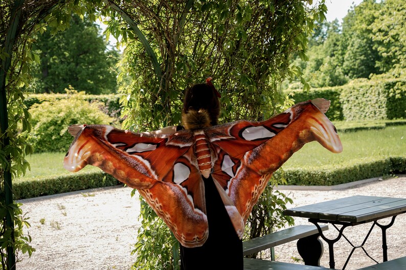 Atlas Moth Costume for Adults Butterfly Costume Adult | Etsy