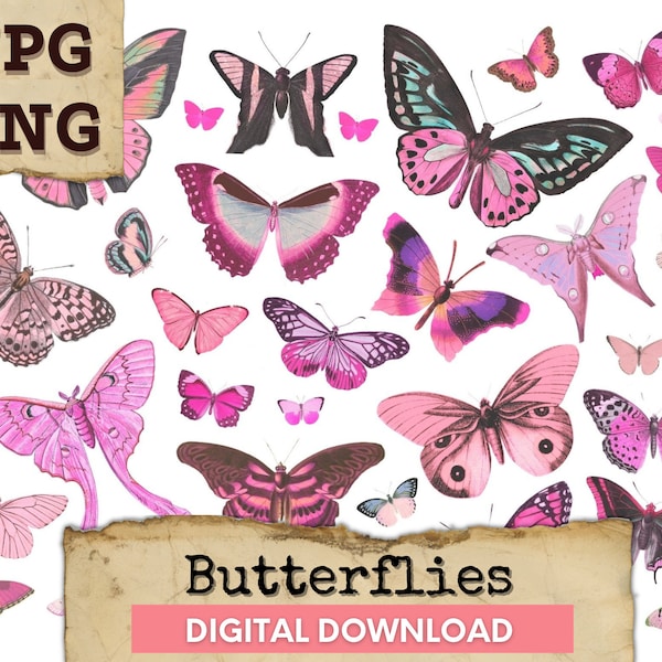 Butterfly Ephemera - Etsy