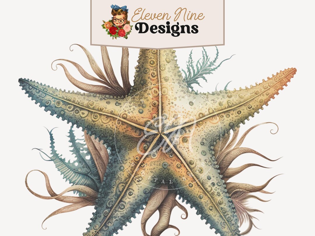 Watercolor Starfish Clipart: Sea Life Nautical Art (PNG Digital ...