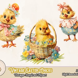 Easter Chick Clipart, Easter PNG, Spring Easter Basket PNG, Cute Baby ...