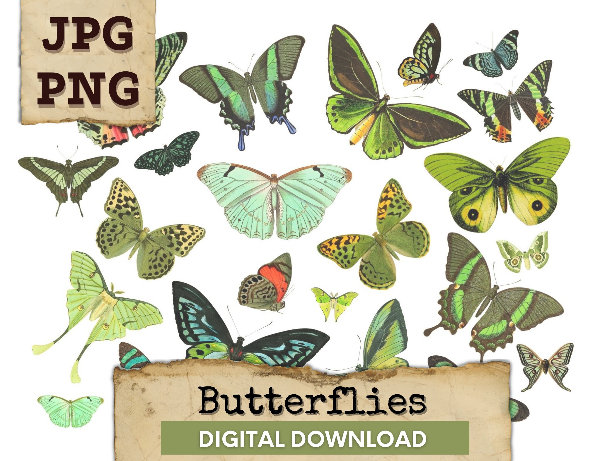 Butterflies Digital Collage Sheet Green Butterfly Fussy Cut - Etsy