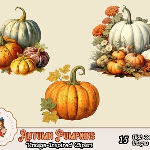 Pumpkin Clipart Commercial Use, Halloween Pumpkin PNG, Autumn Clipart ...