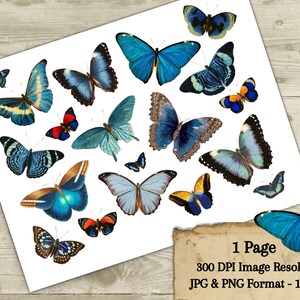 Butterflies Digital Collage Sheet, Blue Butterfly, Butterflies Digital ...