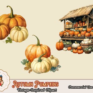 Pumpkin Clipart Commercial Use, Halloween Pumpkin PNG, Autumn Clipart ...