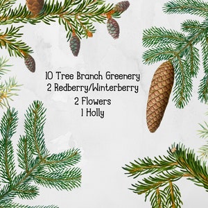 Christmas Botanical Clipart,christmas Greenery PNG Clipart,winter ...