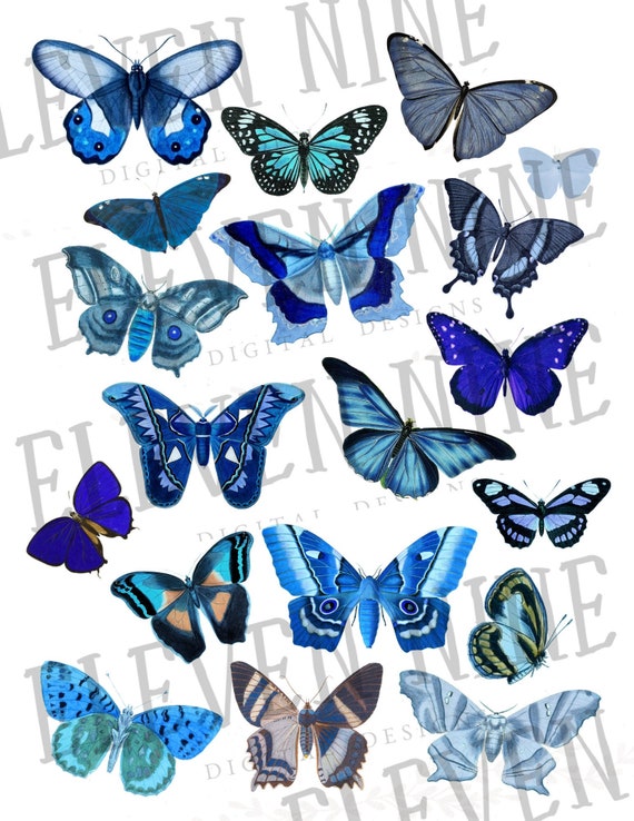 Butterflies Digital Collage Sheet Blue Butterfly Butterflies | Etsy