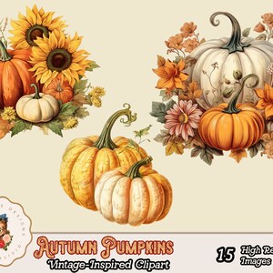 Pumpkin Clipart Commercial Use, Halloween Pumpkin PNG, Autumn Clipart ...