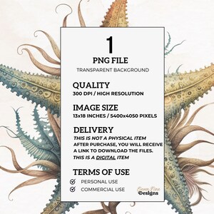 Watercolor Starfish Clipart: Sea Life Nautical Art (PNG Digital ...