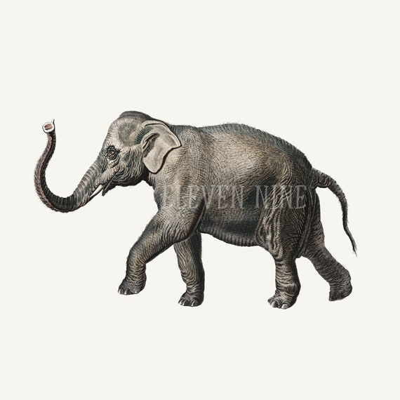 Vintage Elephant Clip Art