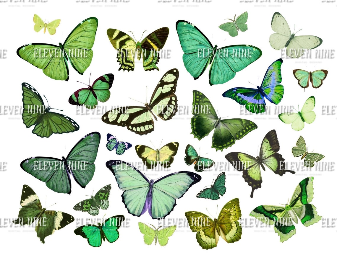 Butterflies Digital Collage Sheet Green Butterfly Fussy Cut - Etsy