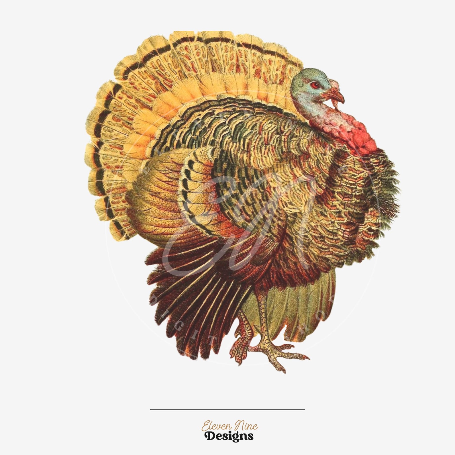 Vintage Victorian Turkey Illustration: Thanksgiving Clipart (PNG ...