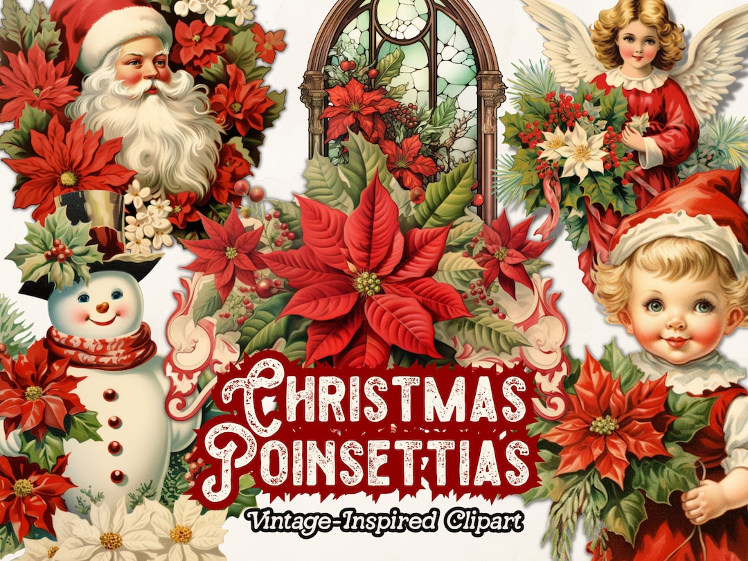 Christmas Poinsettias Clipart, Vintage Floral Christmas Clipart, Red ...