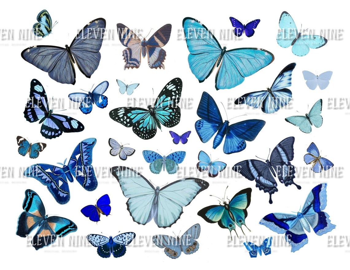 Butterflies Digital Collage Sheet Blue Butterfly Butterflies - Etsy