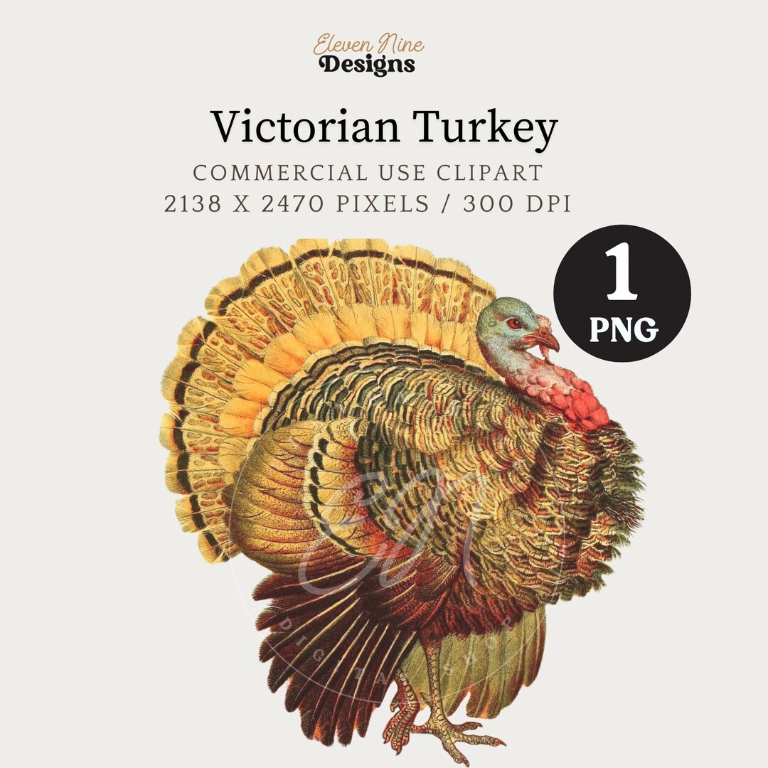 Turkey Clipart, Thanksgiving Graphics, Turkey Digital Download ...