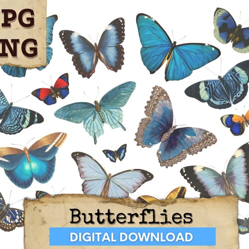 Butterflies Digital Collage Sheet Blue Butterfly Butterflies - Etsy