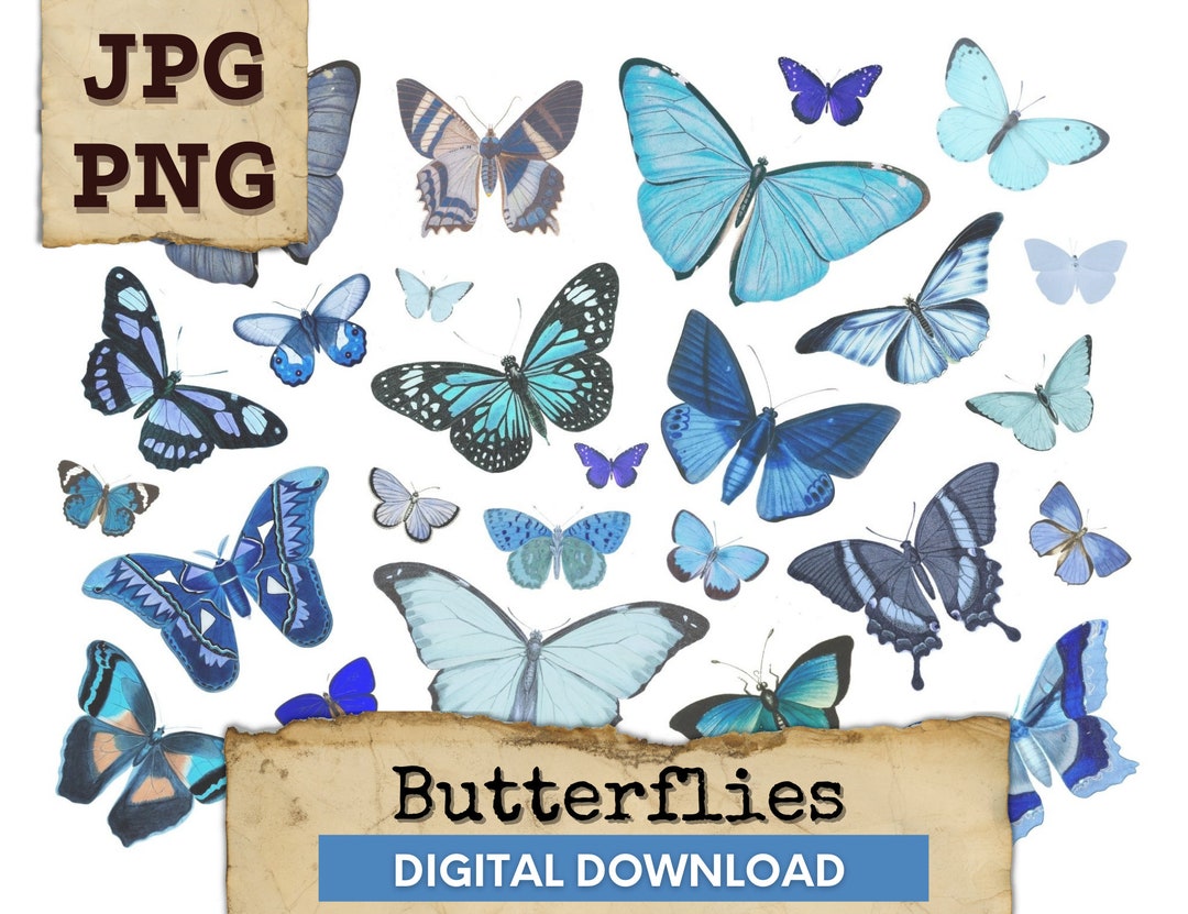 Butterflies Digital Collage Sheet, Blue Butterfly, Butterflies Digital ...