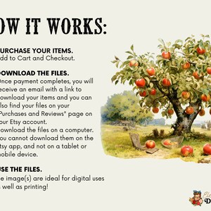 Apple Picking Clipart, Apple PNG, Fall Autumn Harvest, Apple Orchard ...