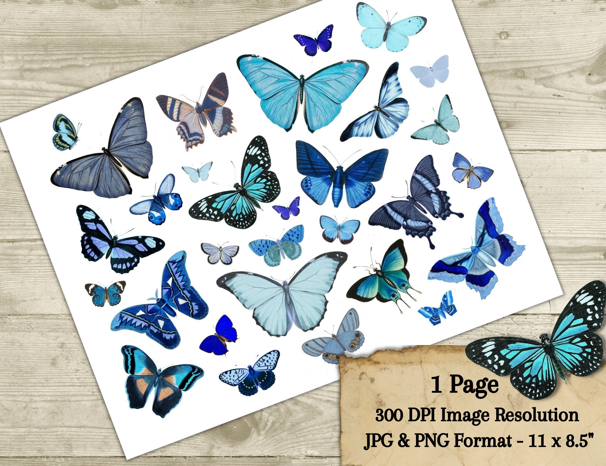 Butterflies Digital Collage Sheet Blue Butterfly Butterflies - Etsy