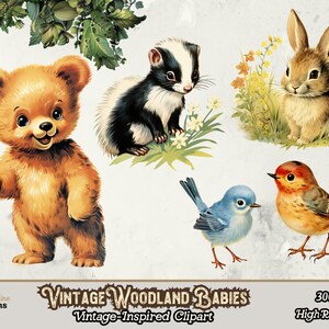 Woodland Baby Animals Clipart PNG, Forest Nursery Decor, Digital ...