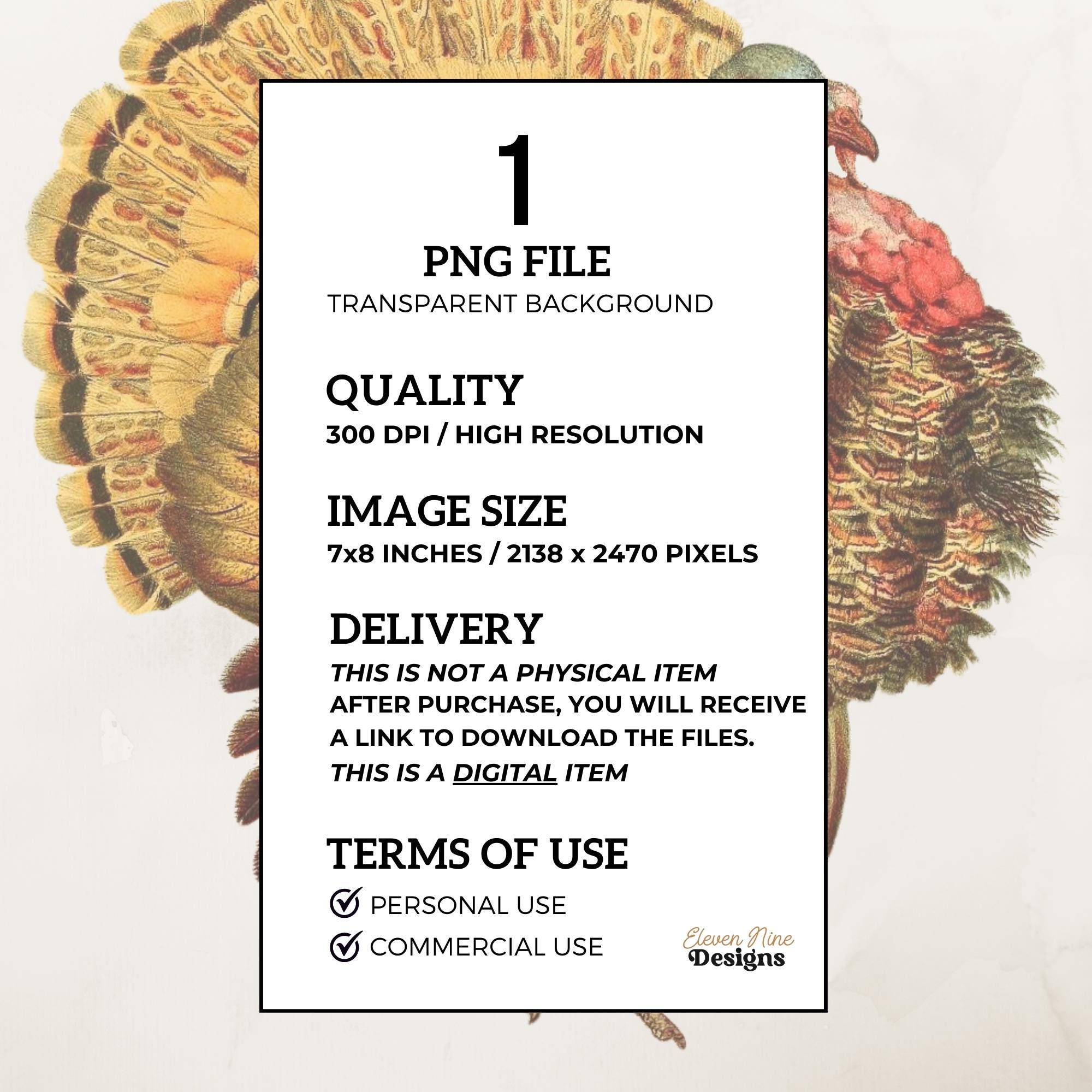 Vintage Victorian Turkey Illustration: Thanksgiving Clipart (PNG ...