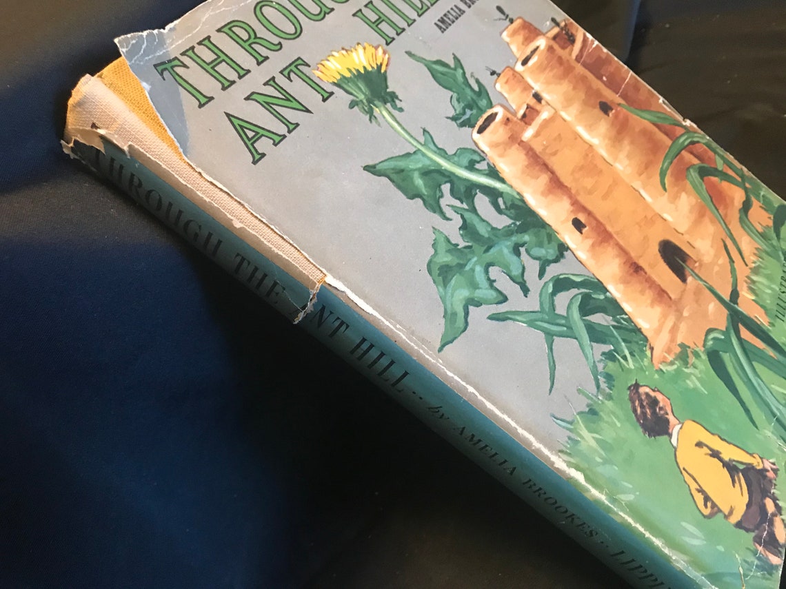 VERY HTF Through the Ant Hill Book 1941 Vintage Children's Book ...