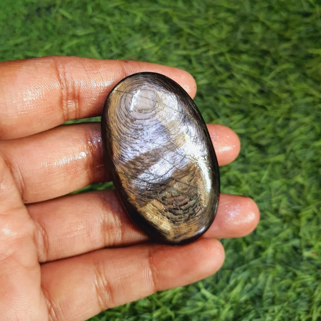 Natural Hypersthene Palm Stone Beautiful Hypersthene Palm Shape Hand ...