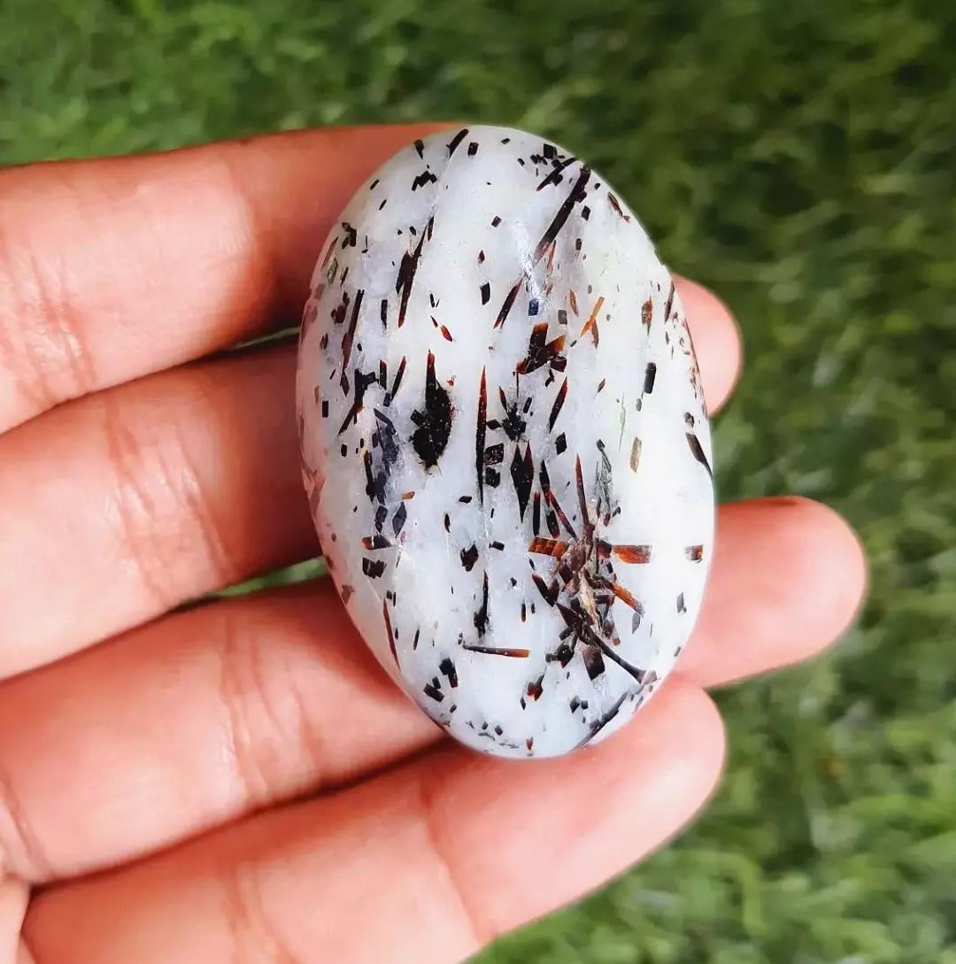 Natural Astrophyllite Palm Stone Beautiful Astrophyllite Palm Shape ...