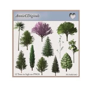 Tree Clip Art, Realistic Tree Clip Art, 12 Different Tree Clip Art PNG ...