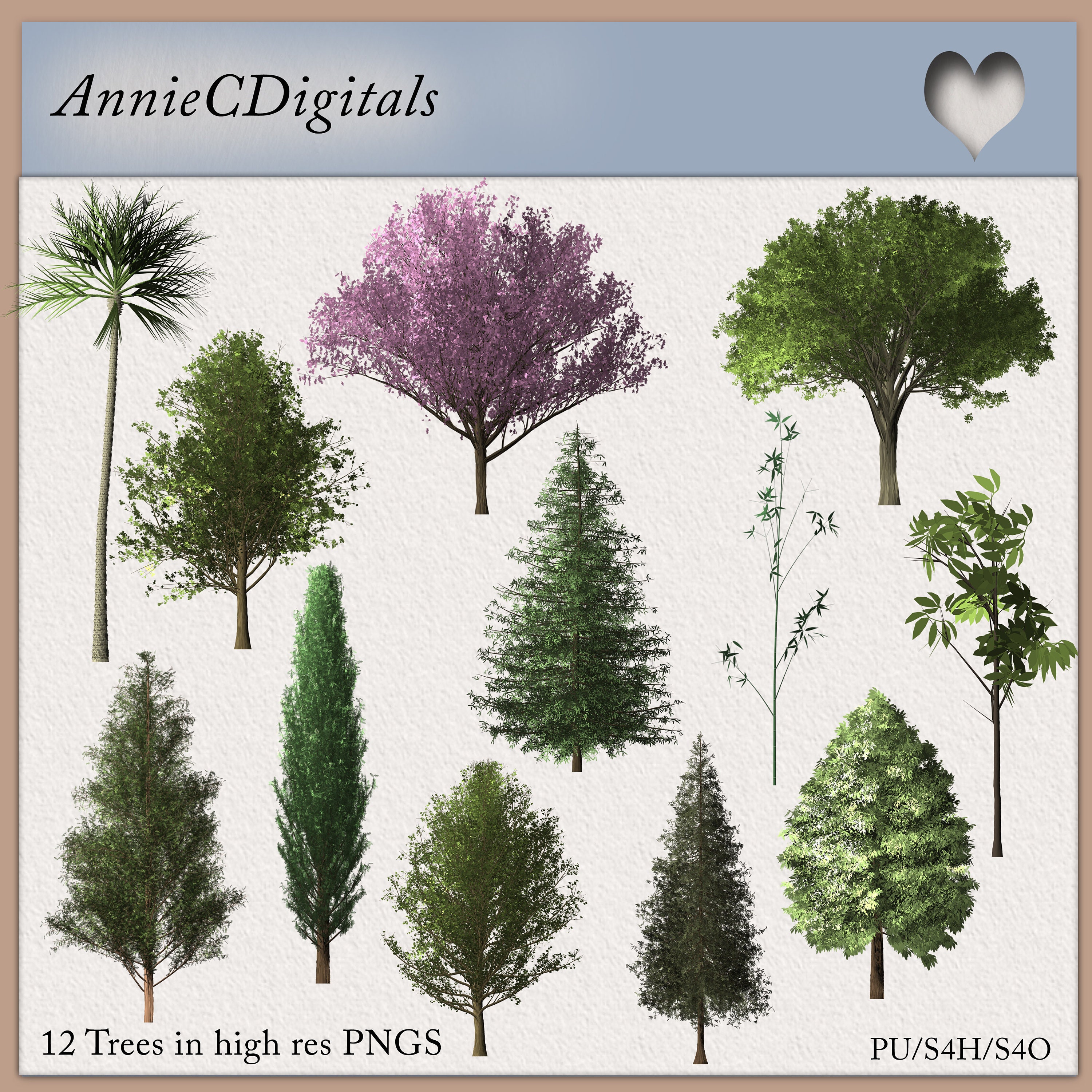 Tree Clip Art Realistic Tree Clip Art 12 Different Tree Clip | Etsy