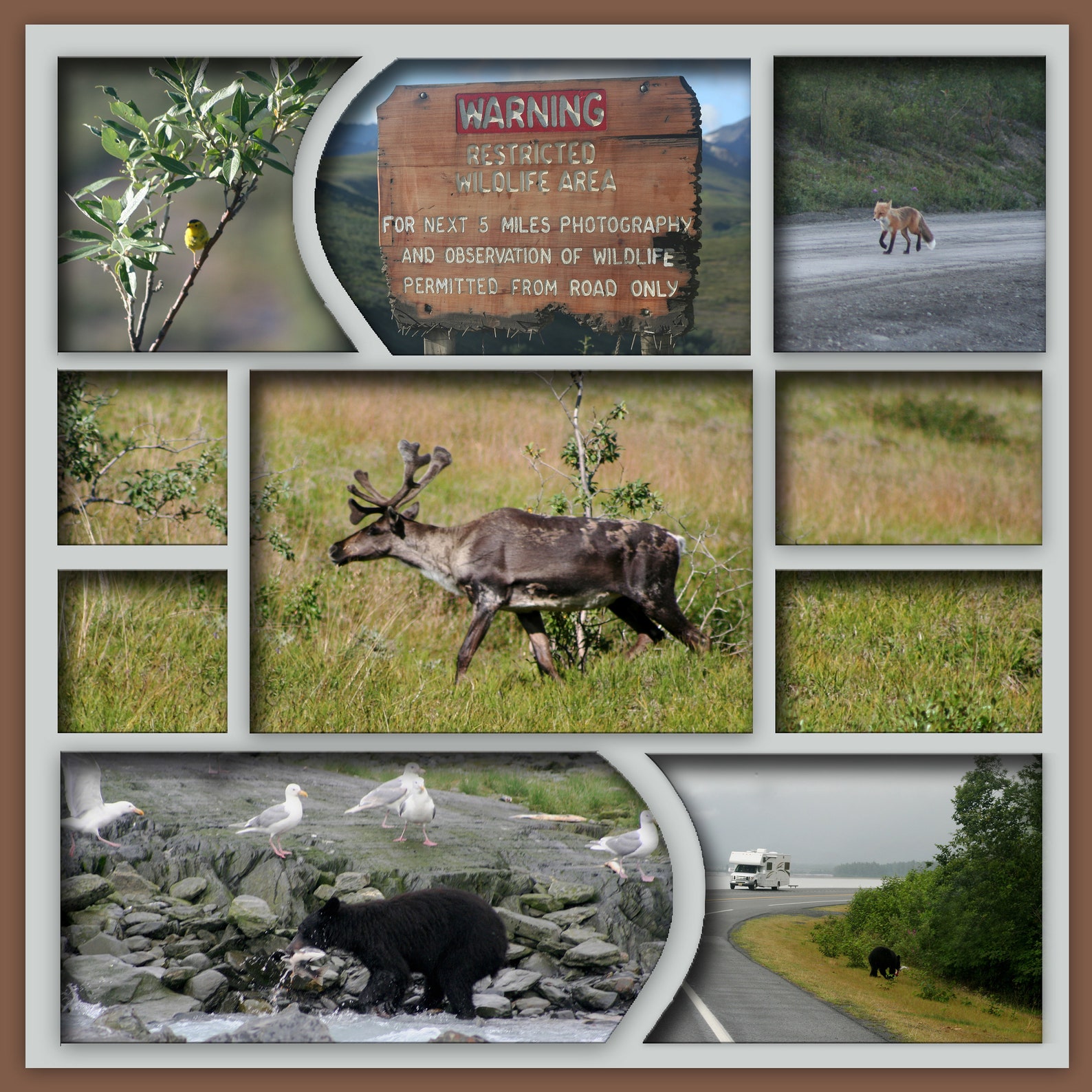 Scrapbook Templates Digital Scrapbook Template Scrapbook | Etsy