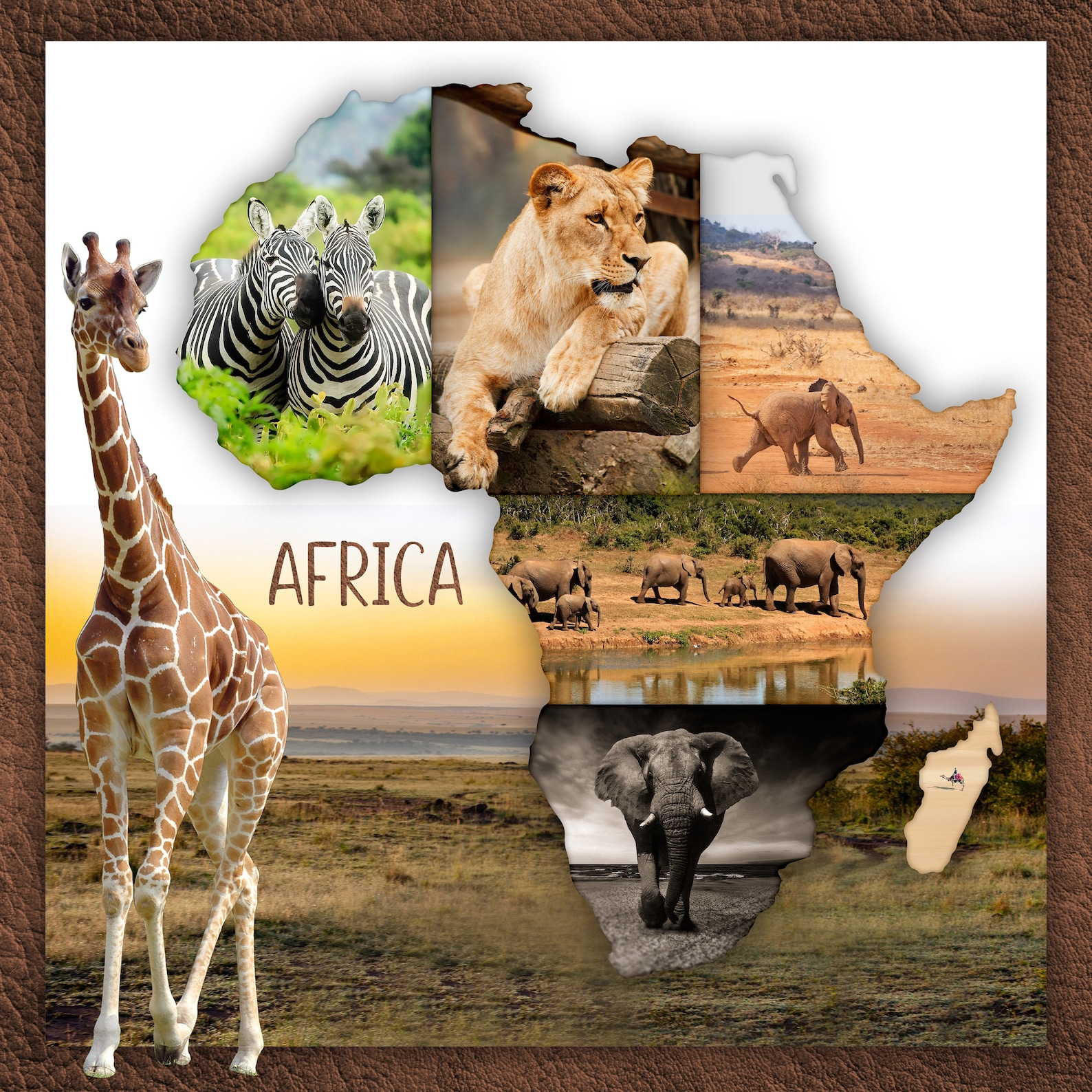 Africa Scrapbook Templates Digital Scrapbook Template Africa - Etsy
