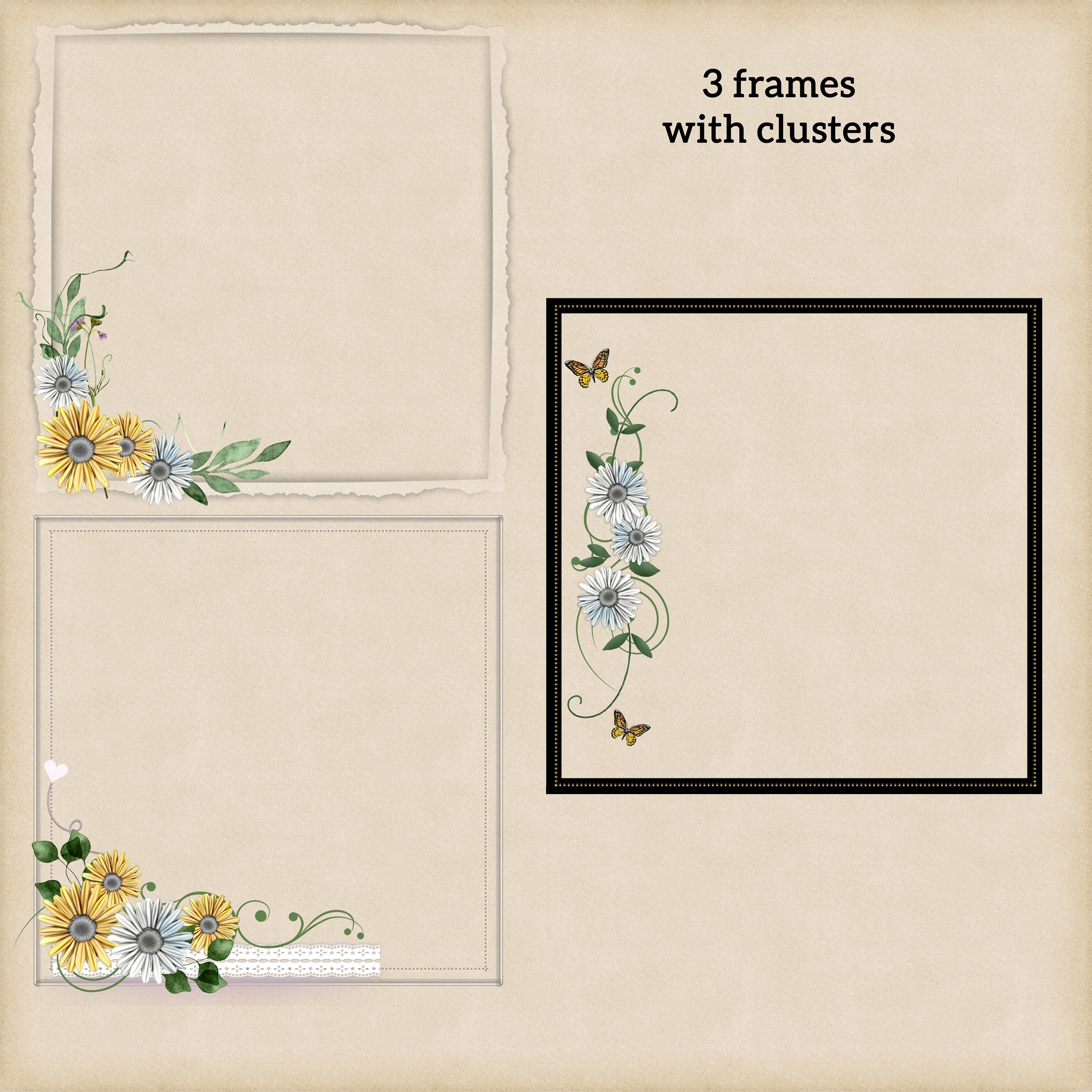 Daisy Borders Digital Borders Daisy Papers Scrapbook - Etsy Nederland